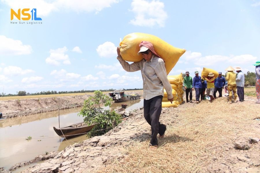 Nghề bốc vác là gì? Kinh nghiệm bốc vác an toàn và hiệu quả